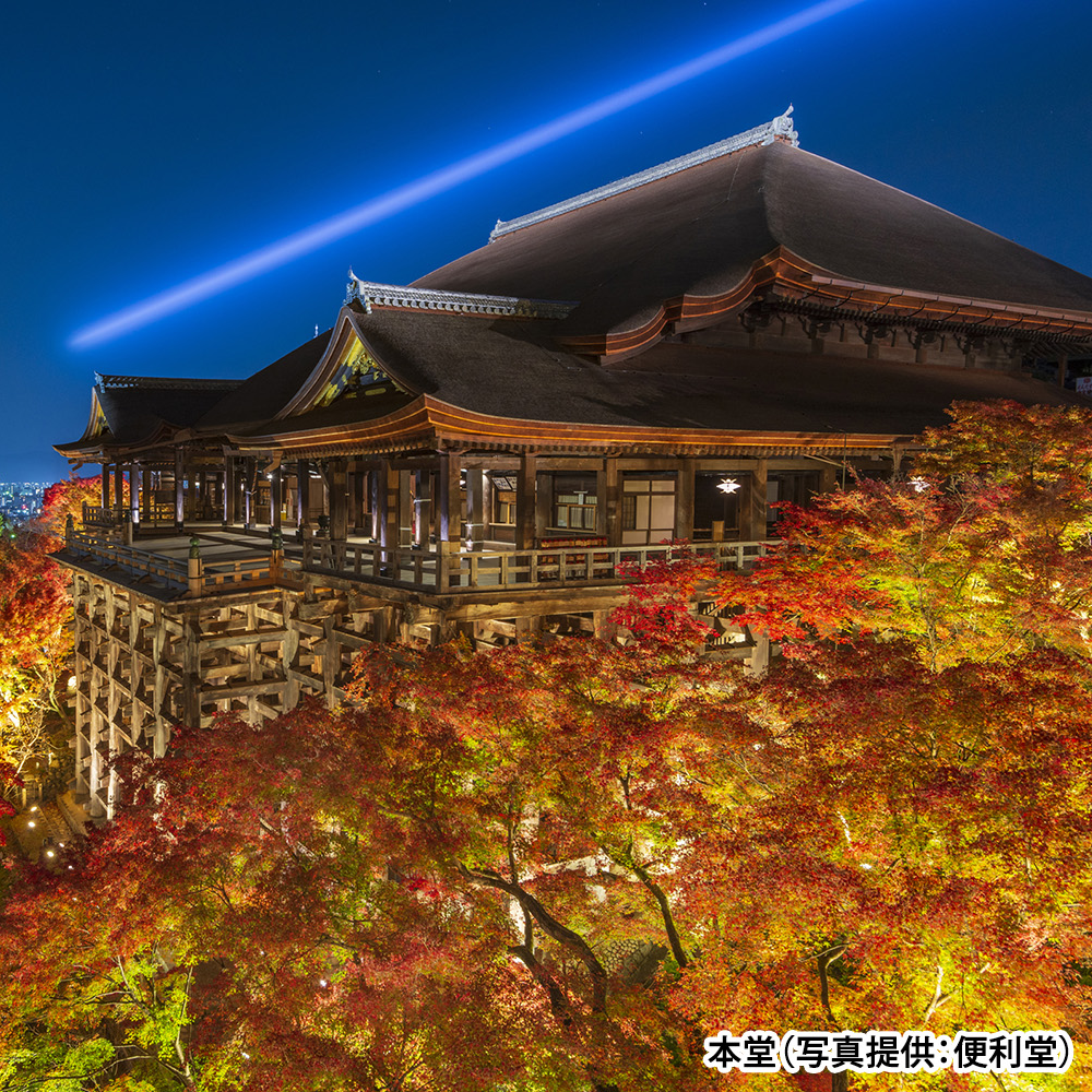 20名限定！秋の一般公開に先駆けて 音羽山・清水寺夜間貸切特別拝観ツアー｜SENLY